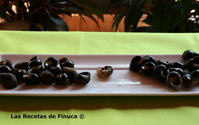 Las Recetas de Finuca: Caracolillos - Bígaros