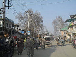 CHINAR SHADE : PULWAMA DISTRICT OF KASHMIR