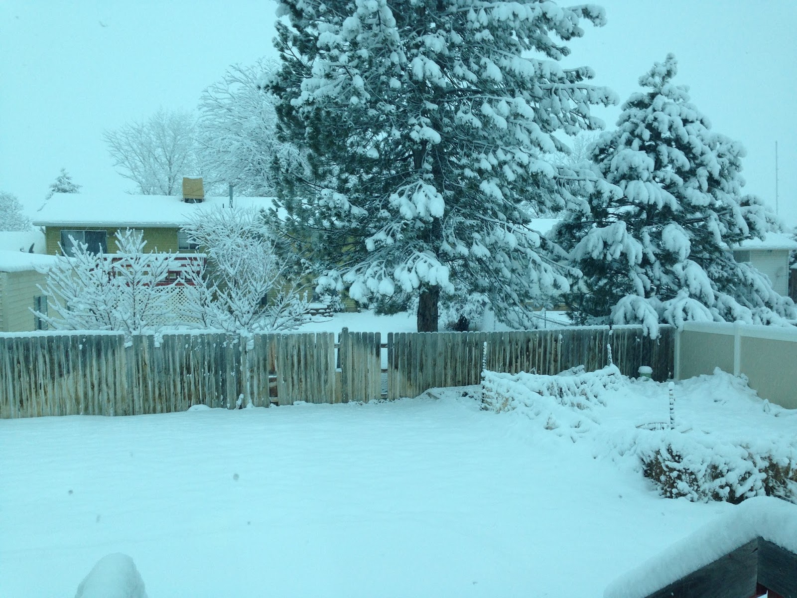 The Beckstead Bouts: First Snowfall...and First "REAL" Snowfall