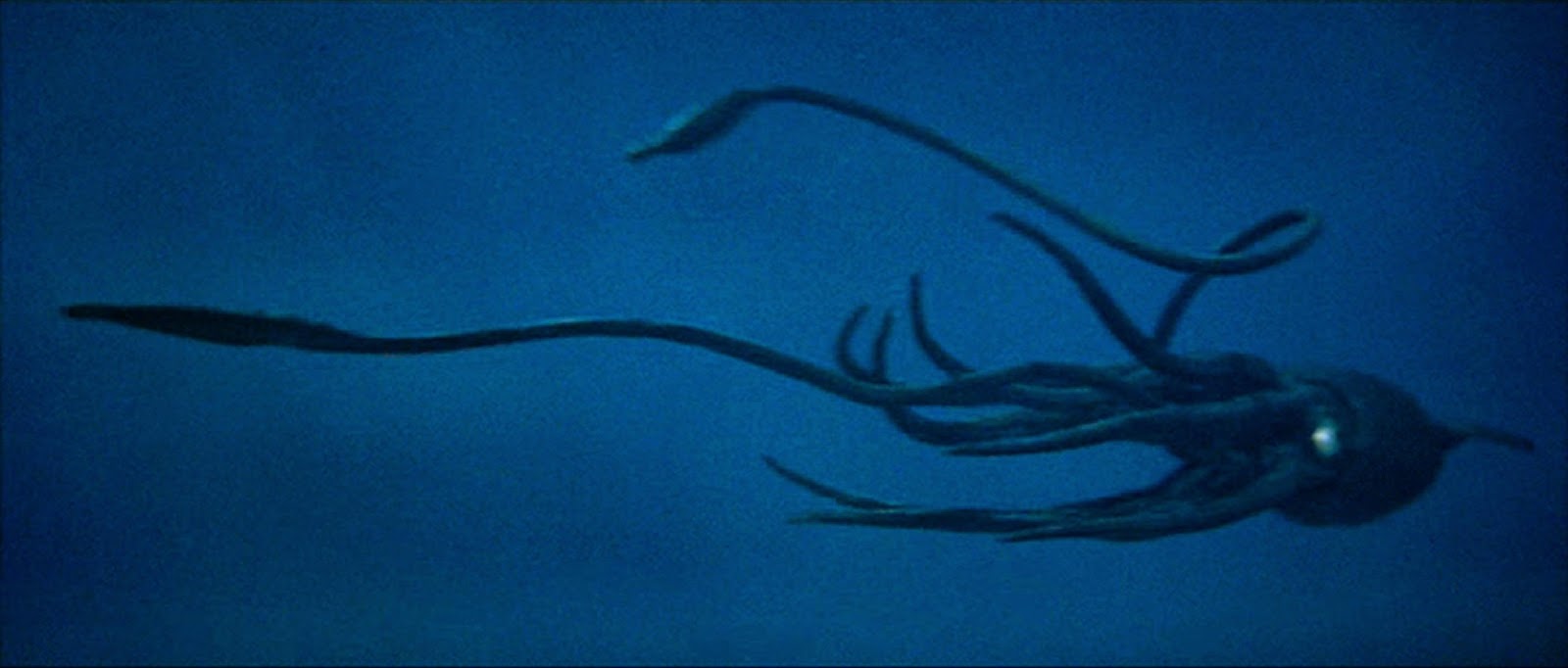 What happens when a non-accredited paleontology fan blogs: Species That ...