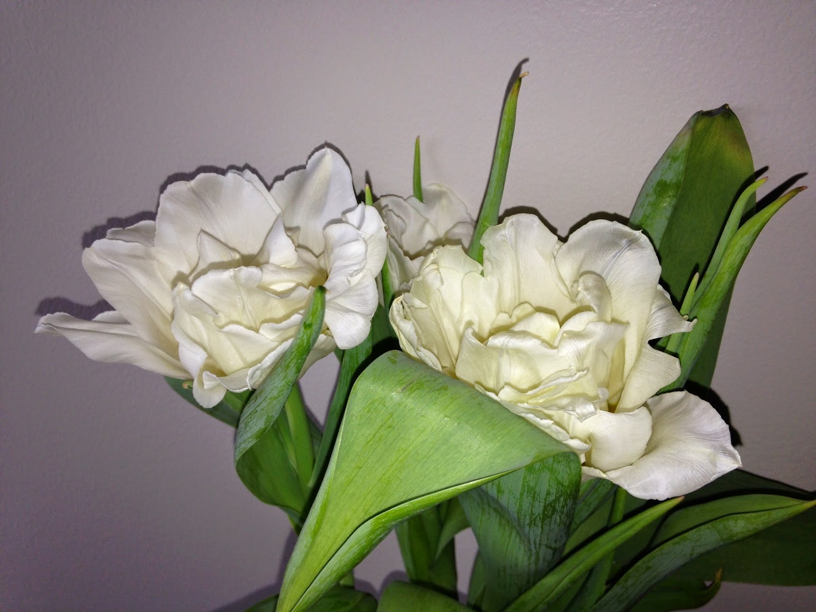 Ella's garden: Floricele colorate...