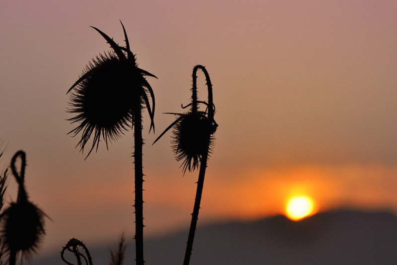 In linii mari: De la rasarit pana la apus