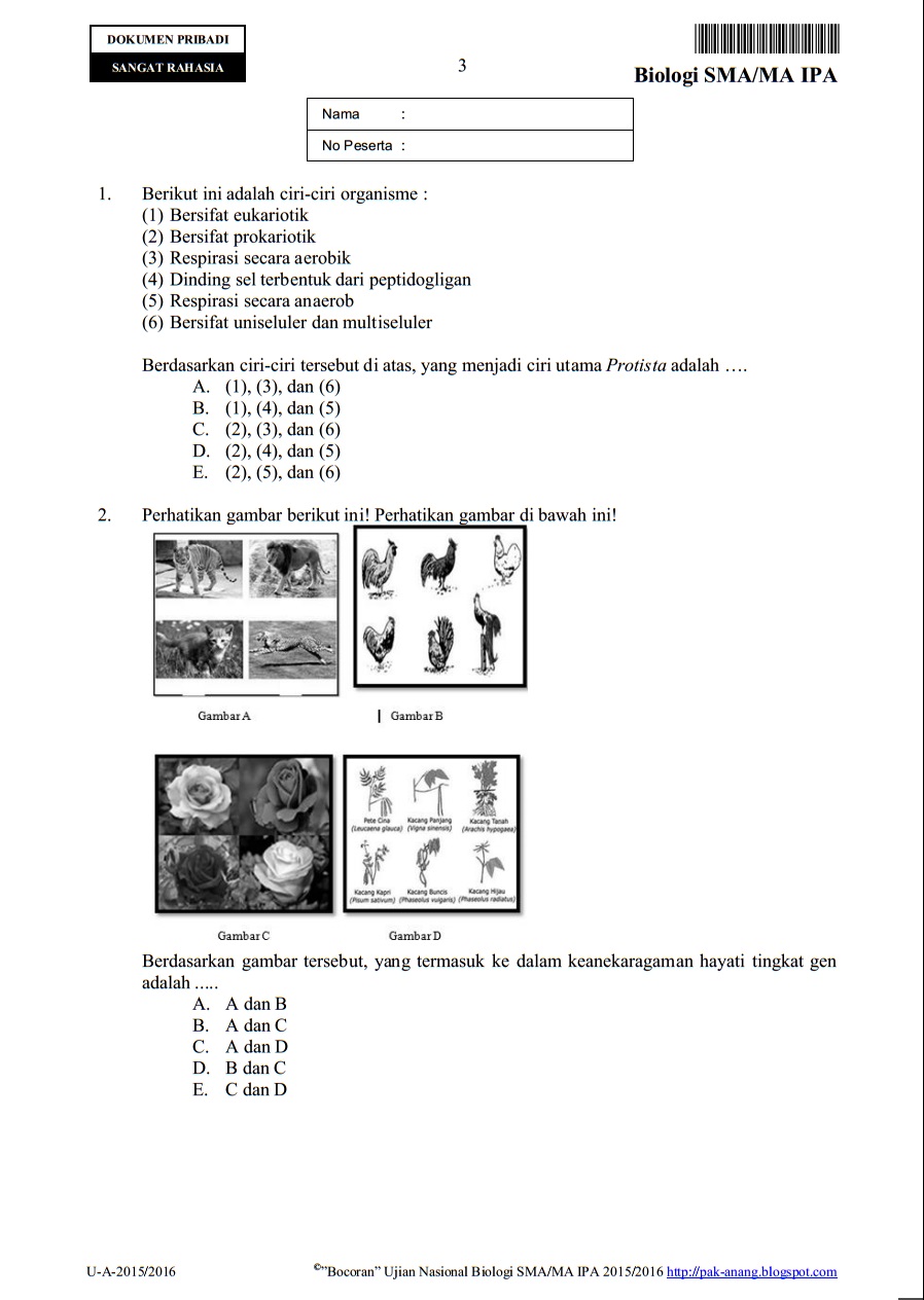 Contoh Soal Ujian Nasional ( UN ) Biologi SMA IPA 2016 - Kumpulan ...