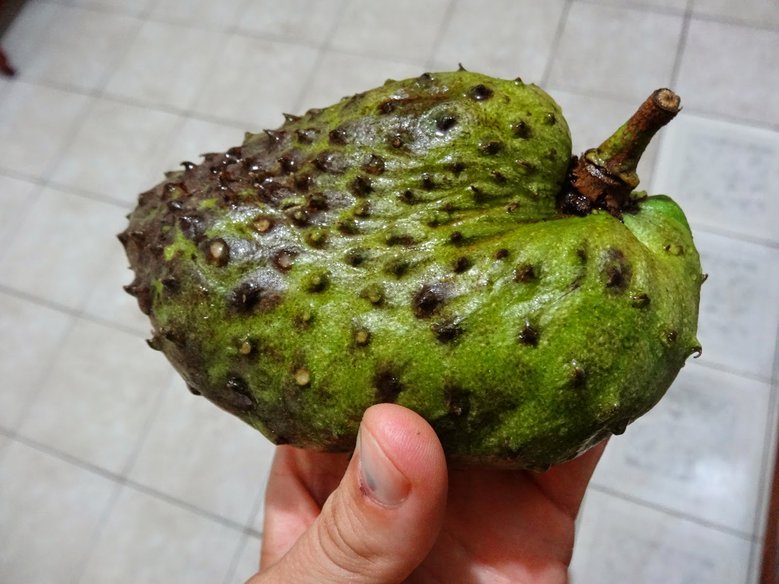 Soursop Muffins