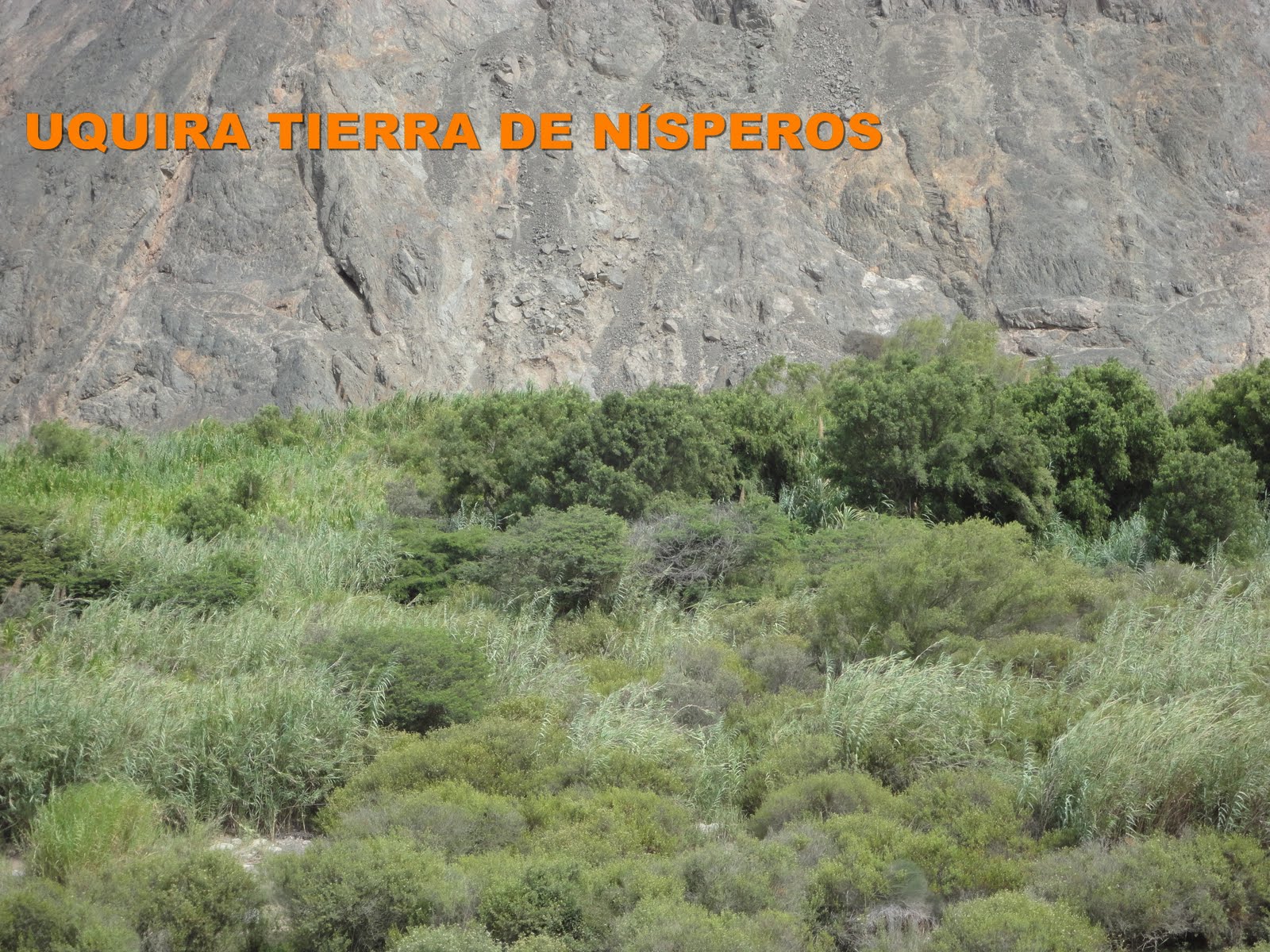 UQUIRA TIERRA DE NÍSPEROS: CAMINATA DE UQUIRA A YESERA