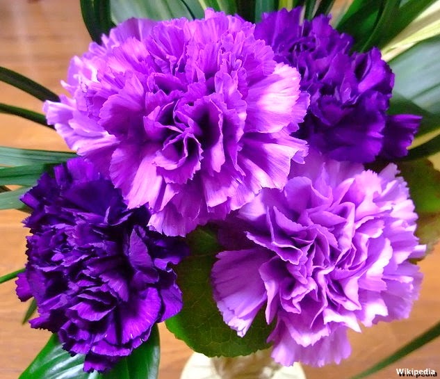 Jom Tanam Bunga: Bunga Turki?