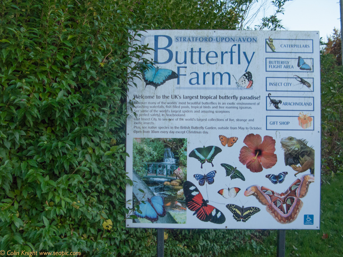 Postcards from Sussex: Stratford Butterfly Farm