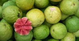 Delightful Parenting- Solutions at your Tips!: Guava-The most ...