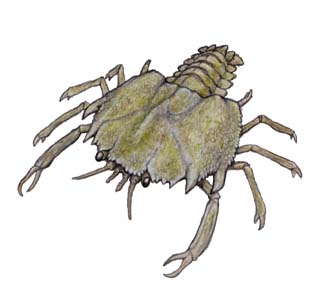 Los animales en la prehistoria: junio 2013