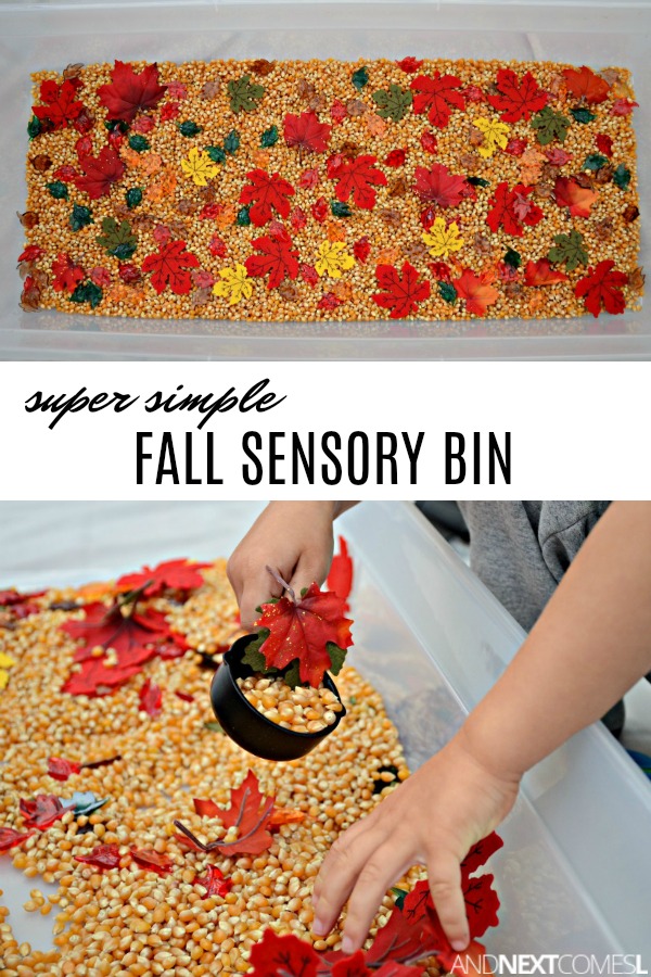 Easy Fall Sensory Bin | And Next Comes L