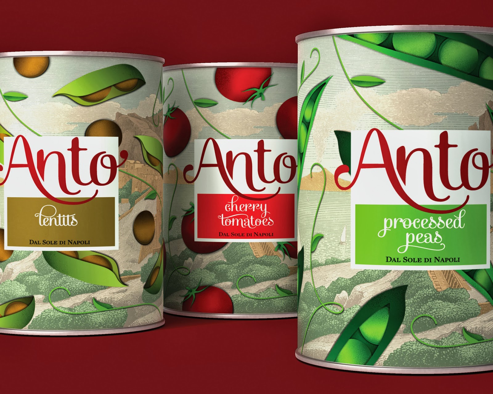Anto (Redesigned) – Packaging Of The World