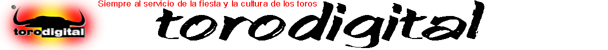 Torodigital.com