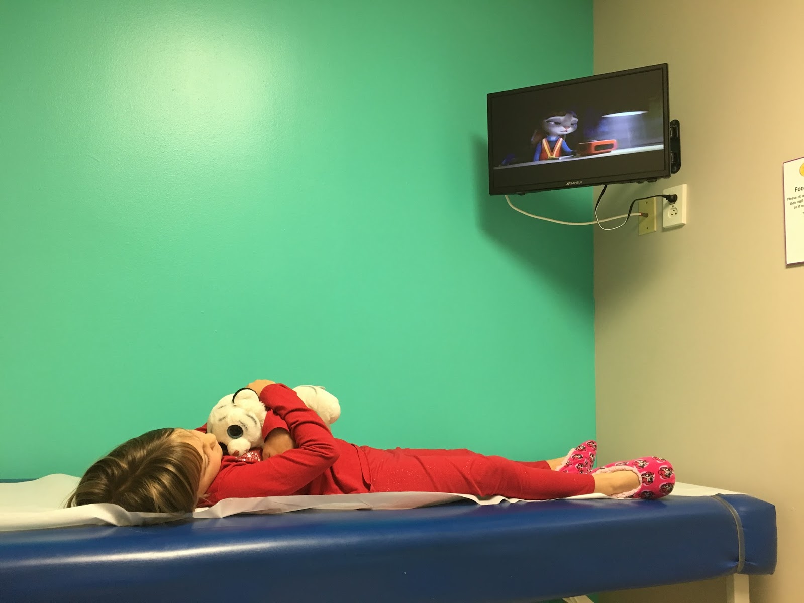 The Mallard Family: Bunk Bed Injury