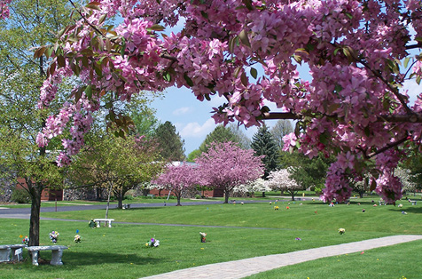 White Haven Memorial Park: 2016