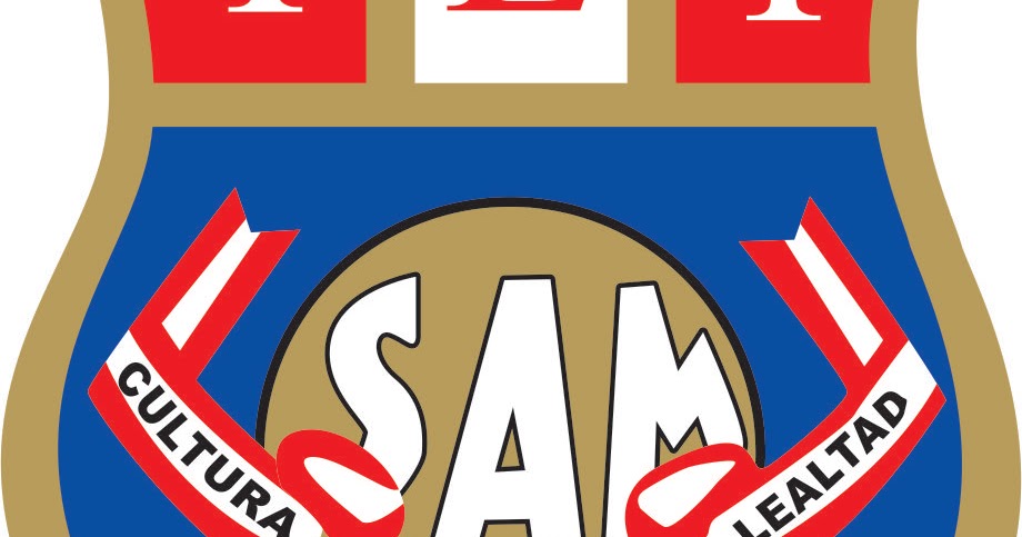 Día del logro Primaria ~ Actividades 3048 SAM