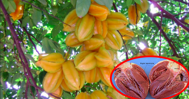 ESTA FRUTA PUEDE CURAR HASTA EL CORAZÓN MÁS DAÑADO SE HA CONSIDERADO UN ...