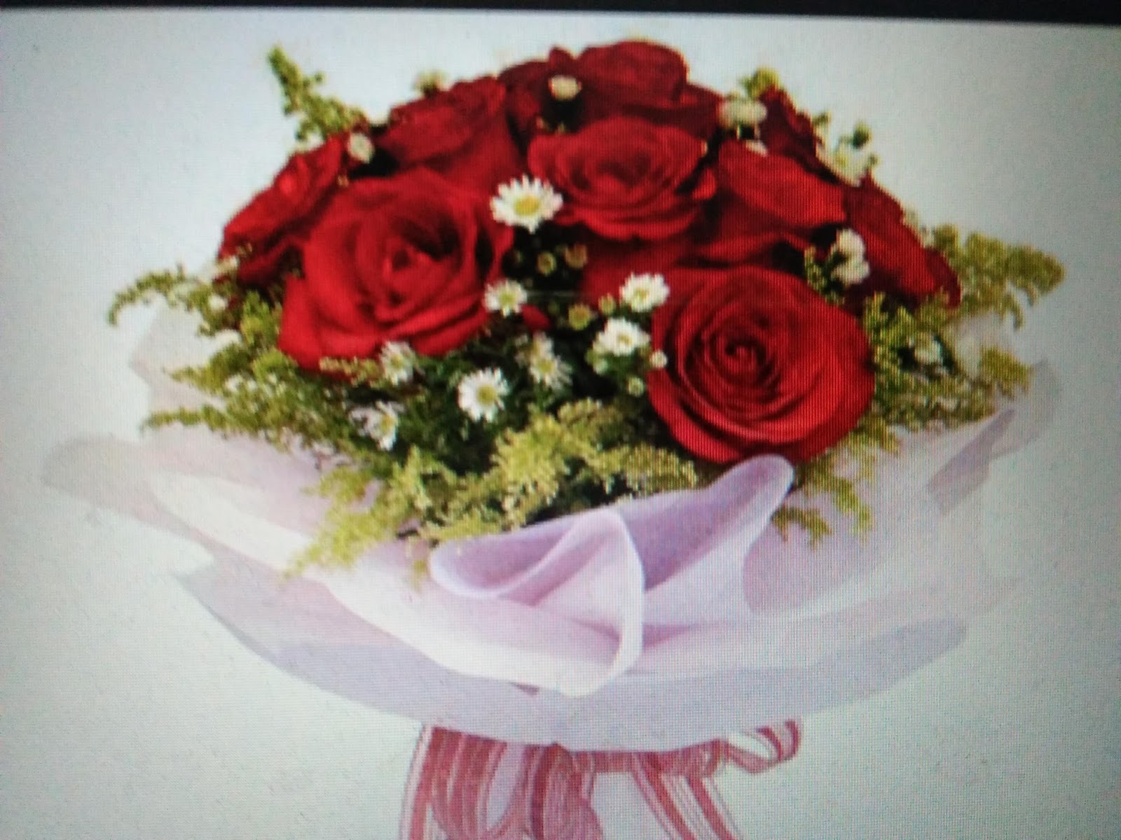 nama saintifik bunga mawar - Felicity Berry