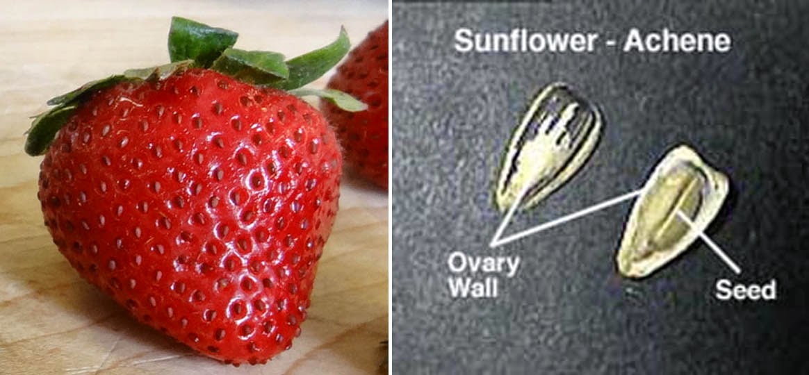 As Many Exceptions As Rules: July 2014