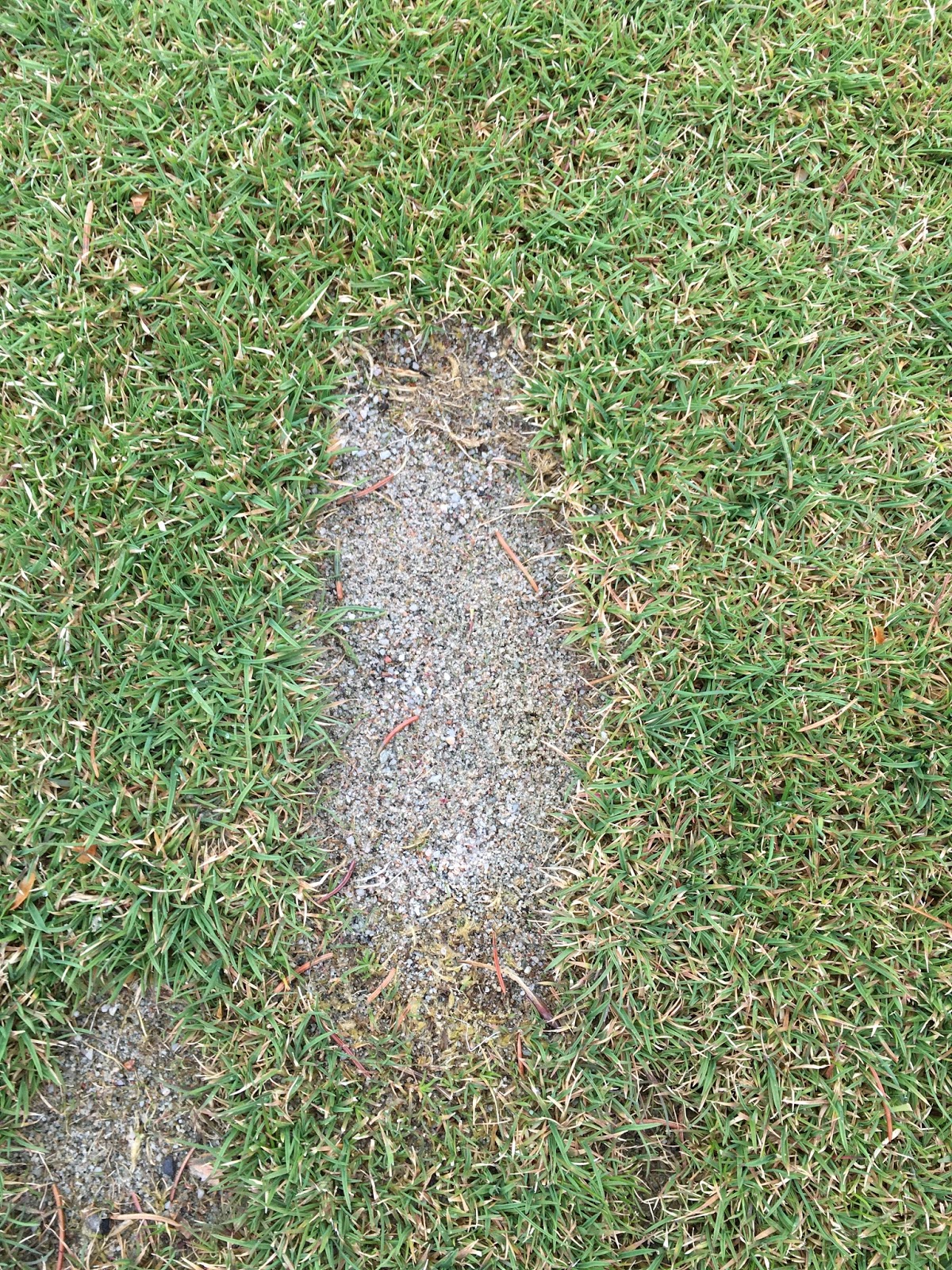 Bellevue Grounds: Divot Mix Changes.