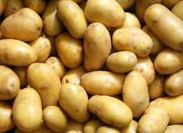 Mikael Styrmans blog: Northland-ledningens arvoden småpotatis