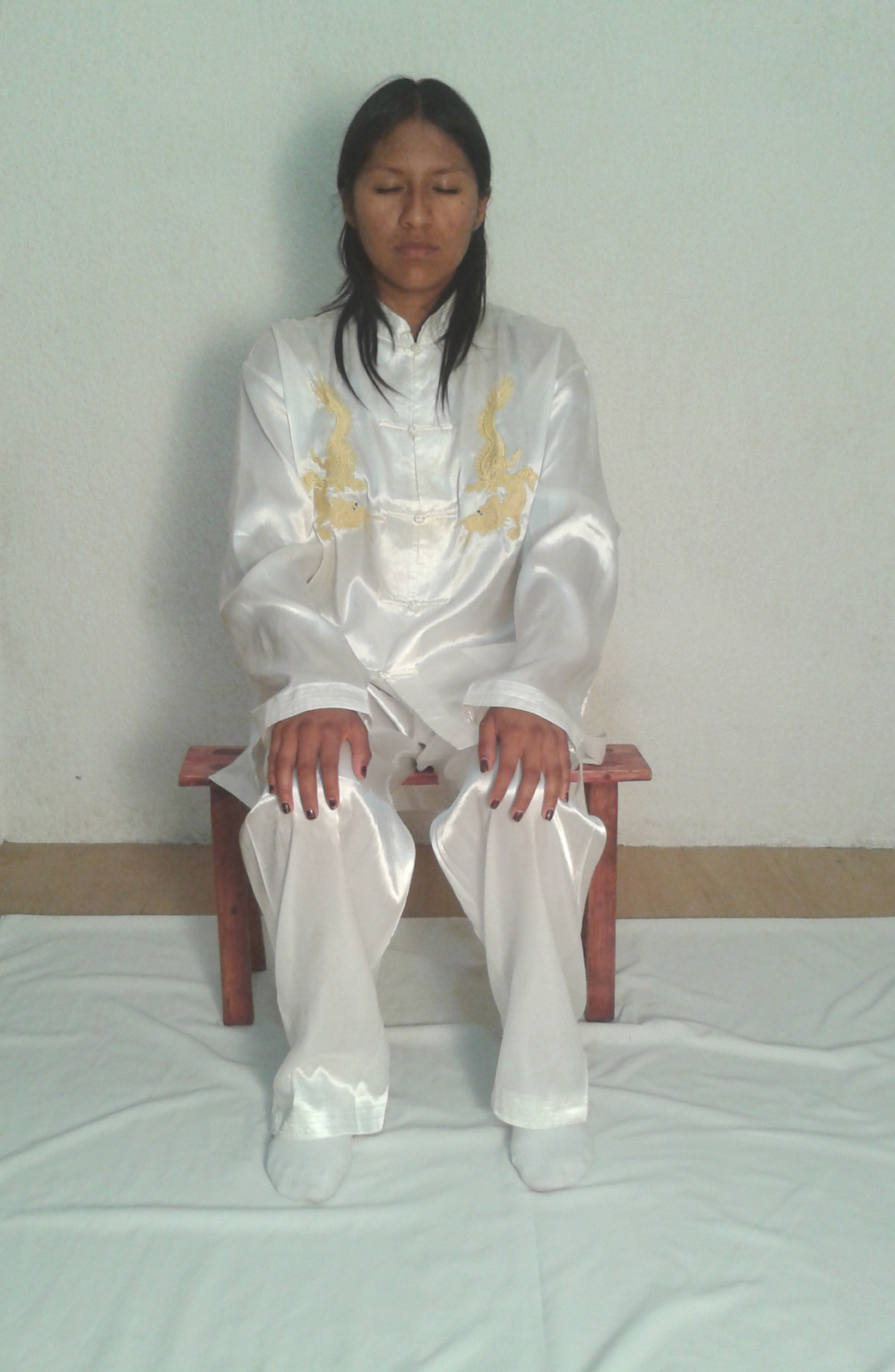 Li He Kuen Tai Chi Chuan Kung-Fu: CHI KUNG Y TAI CHI CHUAN