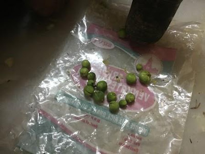 Sundakkai (Turkey Berry) Karakuzhambu