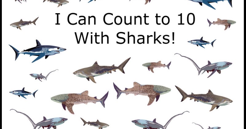 {FREE} I Can Count to 10: Sharks | Preschool Powol Packets