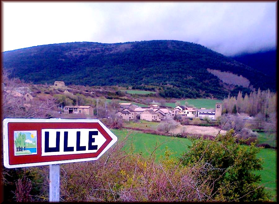 E. T. D E T E C T I V E: MAFIOSOS ROBAN DOS PERROS EN ULLE (HUESCA, ESPAÑA)