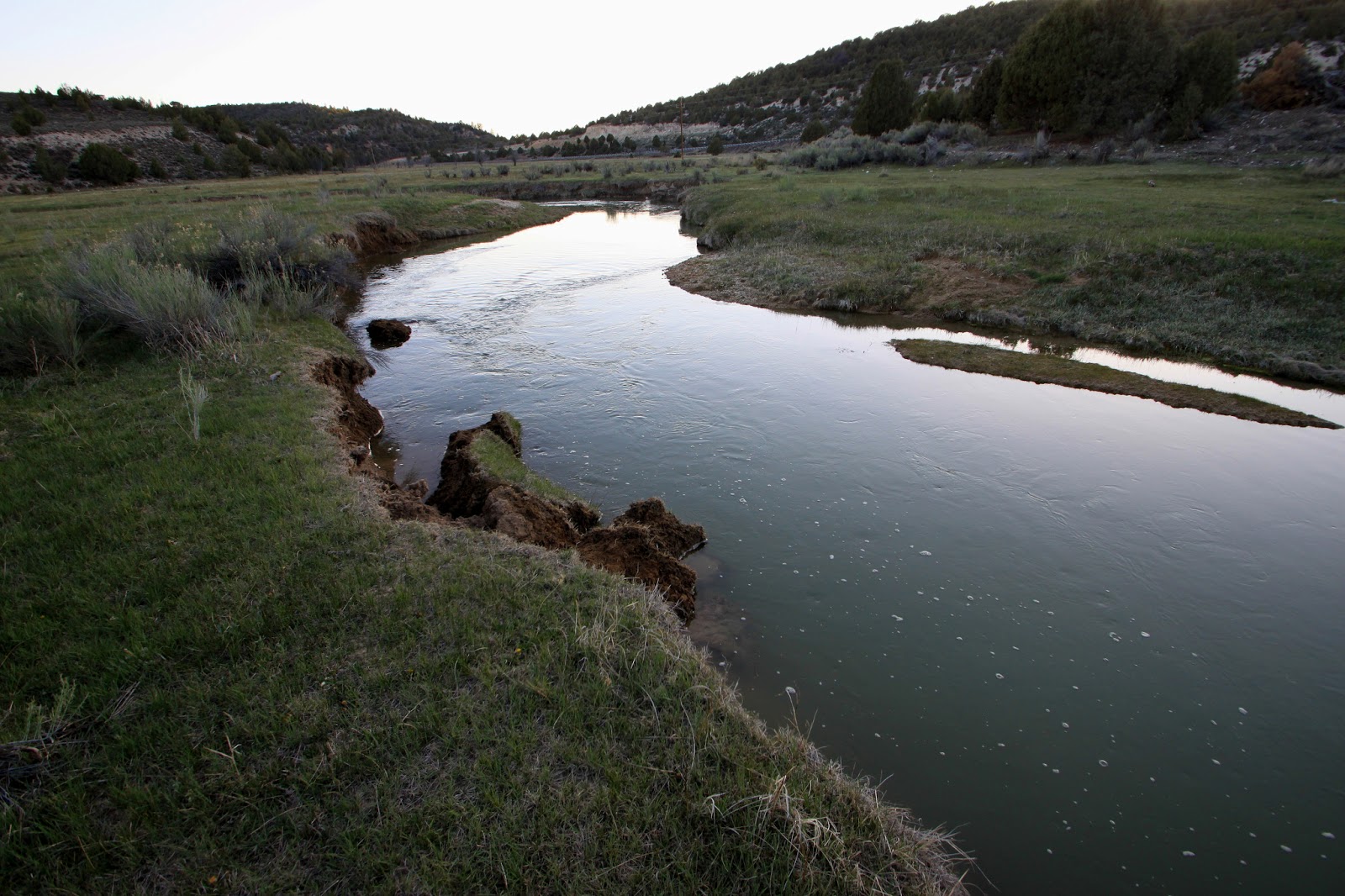 River Tales: Asay Creek (An unexpected treat)