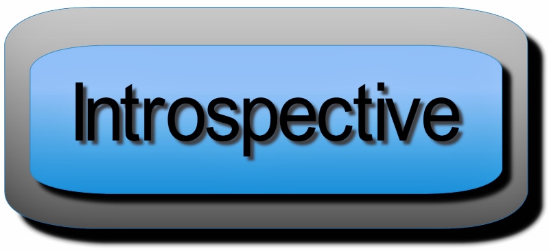 Ramblings...Essays and Such...: Introspective