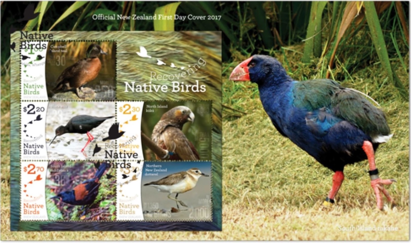 2017 Recovering Native Birds.