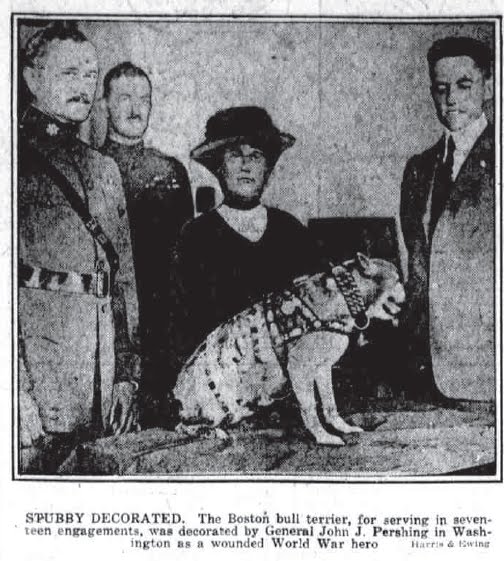 America's Dog: Stubby gets decorated