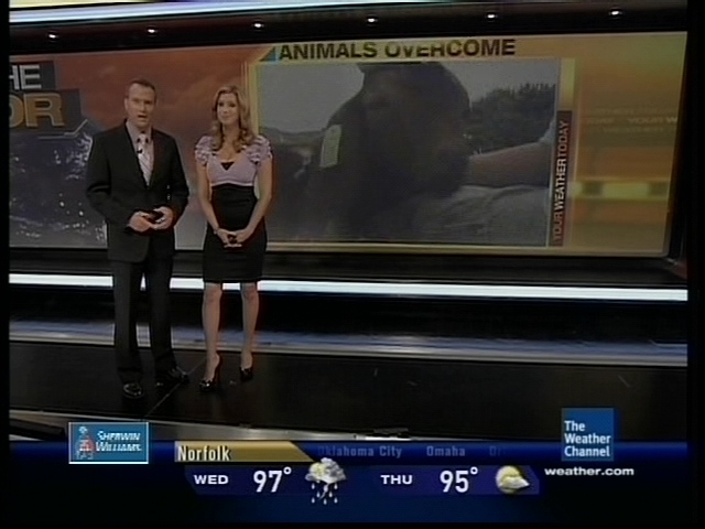 Television Women: Stephanie Abrams Pictures