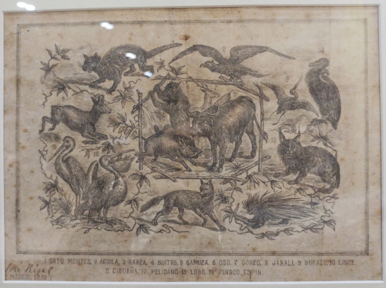 Finding Jose Rizal in Crown Regency Fuente Cebu