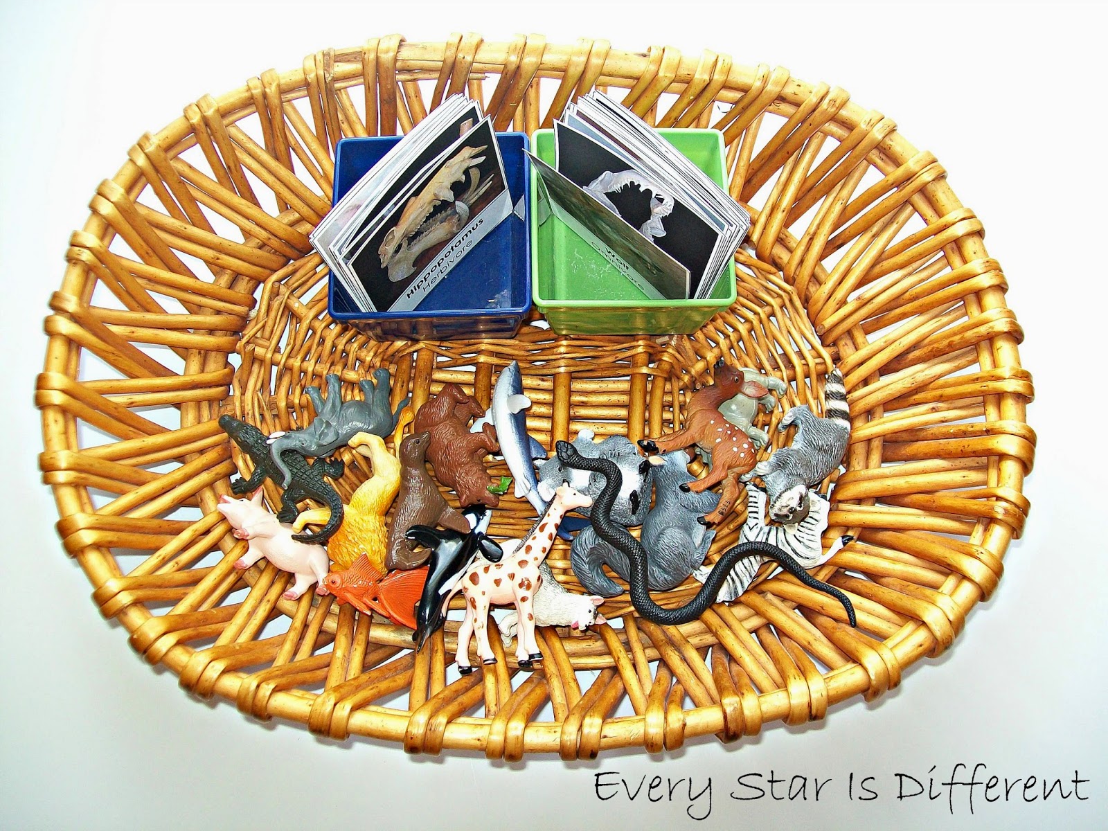 Dental Unit with Free Printables - Every Star Is Different