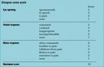 World's Greatest EMT Study Guide: Basic Mnemonics