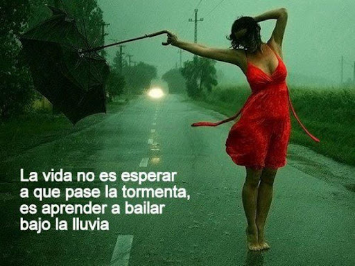 NADA te digo TODO te lo cuento: Contemplación