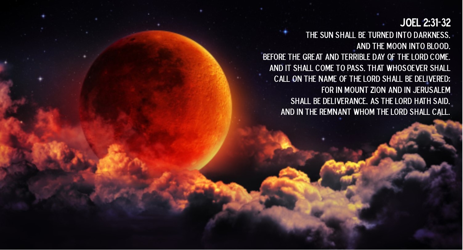 Joel 230 31