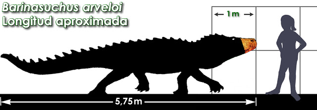 ARQUEOLOGIA PALEONTOLOGIA VENEZUELA: Todo sobre el Barinasuchus arveloi