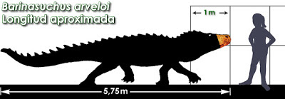 ARQUEOLOGIA PALEONTOLOGIA VENEZUELA: Todo sobre el Barinasuchus arveloi