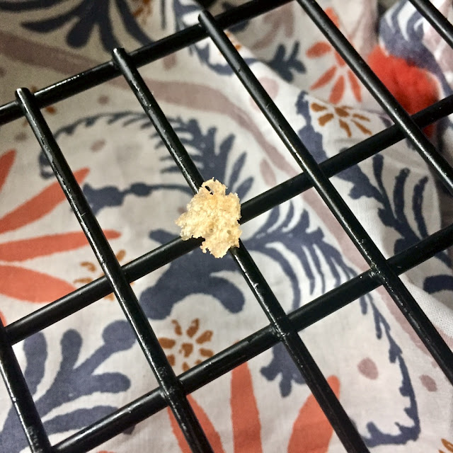 All That's Left Are The Crumbs: Garlic Butter Glazed Talami Bread - # ...