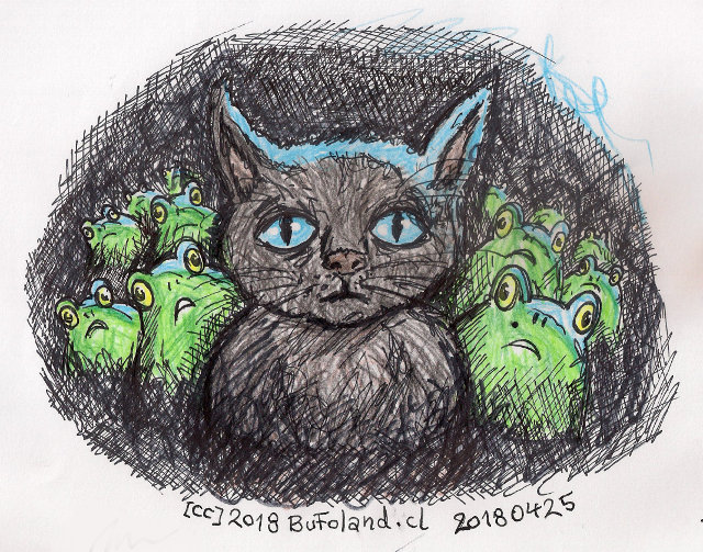 El Elegido (Gato y Ranas) :: Bufoland, todas las leseras que se me ...