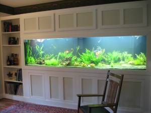 Giant Aquariums: 400 Gal Aquarium - $2200 (Rockville)