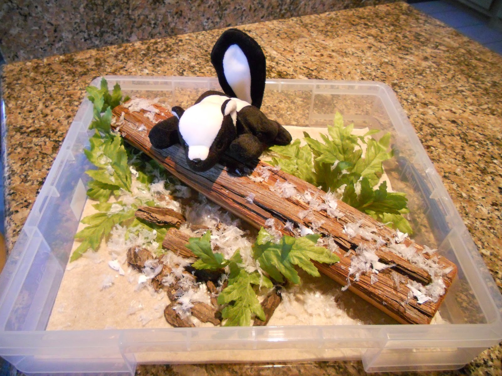 Toy Box Takeout: Nature Log Sensory Box