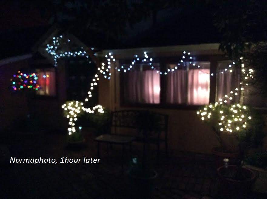 Gardening With Geo.: Back Door Lights