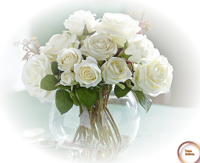 Imagenes Difuminadas..... - Página 5