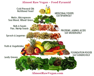Principiile nutritiei vii: Nutrienti esentiali in programul de ...