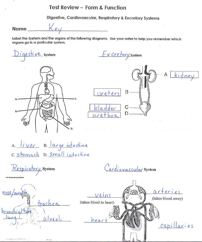 Mrs. Counts 7th grade Science Class: September 2017