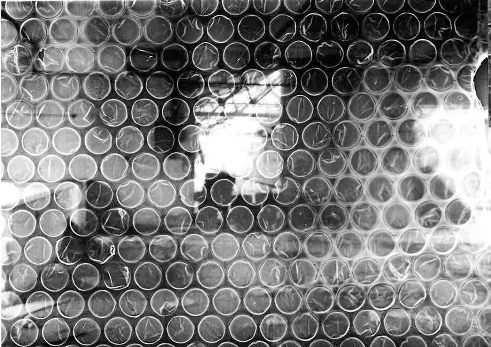 Lauren Carr: Dark Room Experiments.