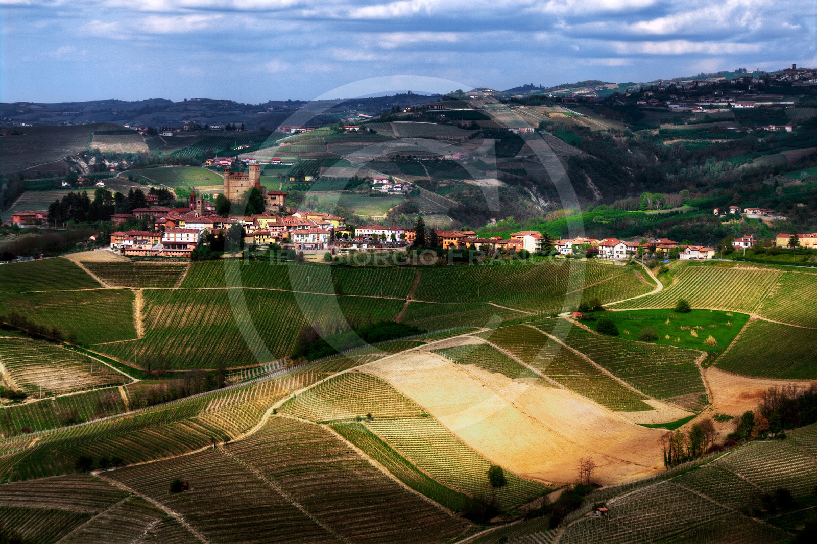 Land of wines - Serralunga d'Alba